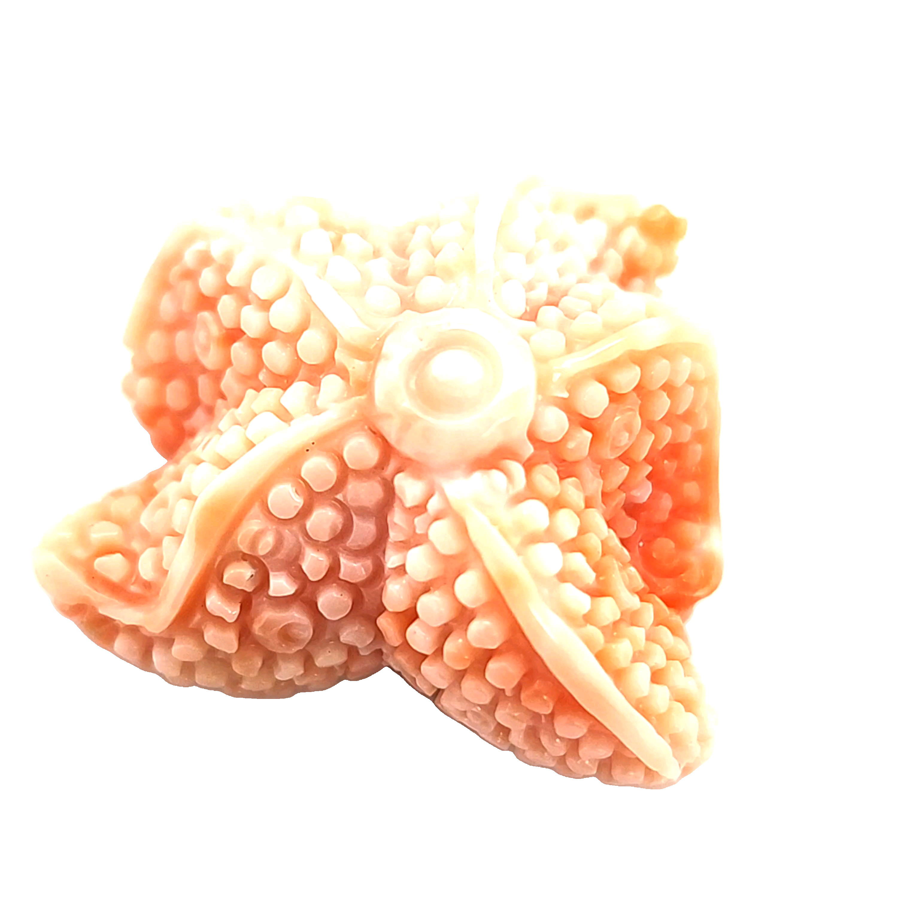 Coral Carving 53.978ct – Ajanta Afrika