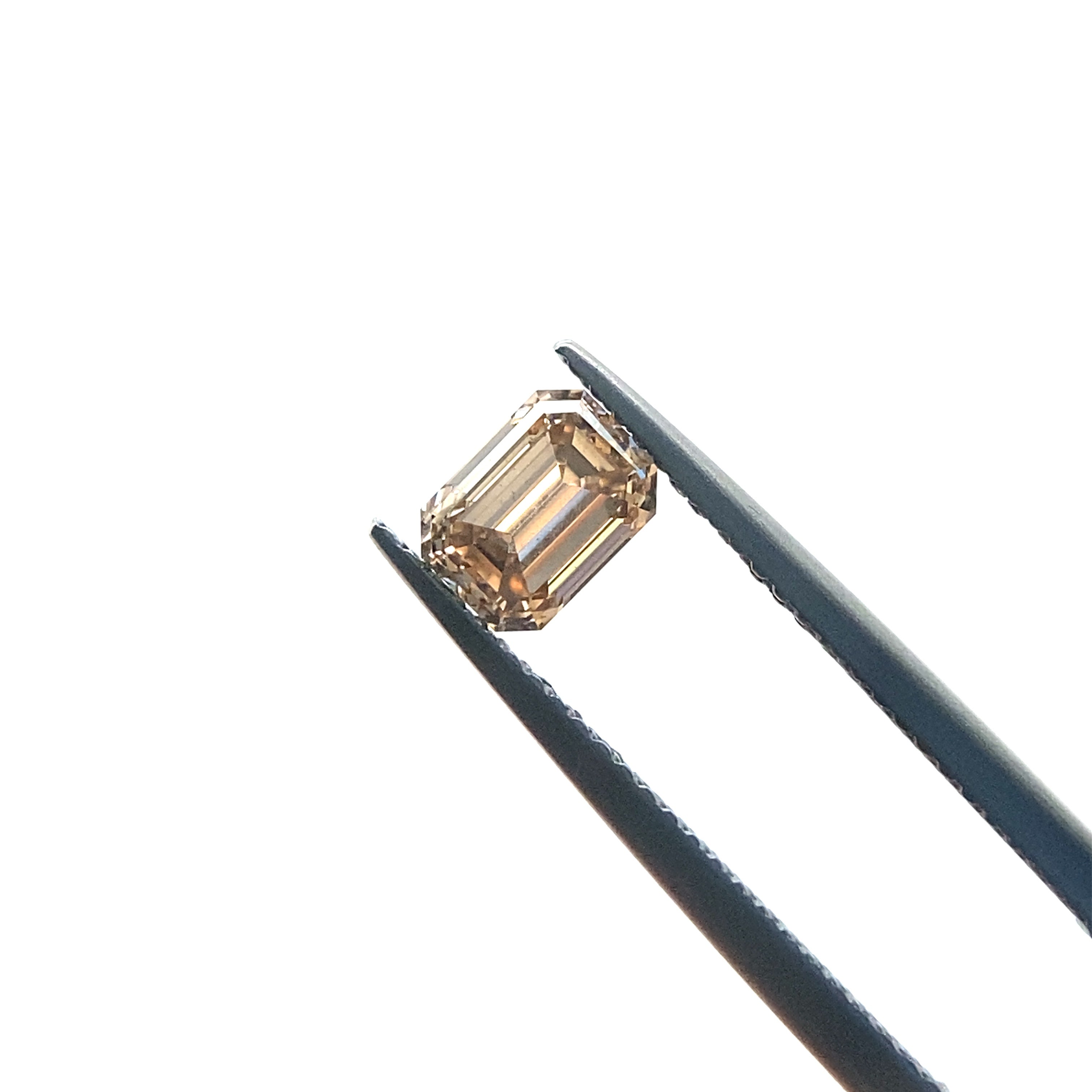 Champagne/Cognac/Translucent Octagon – Ajanta Afrika